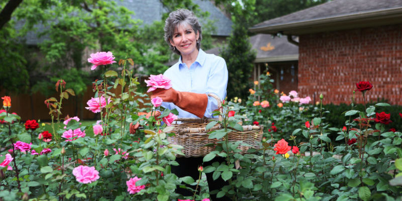 Contact – Texas Rose Lady