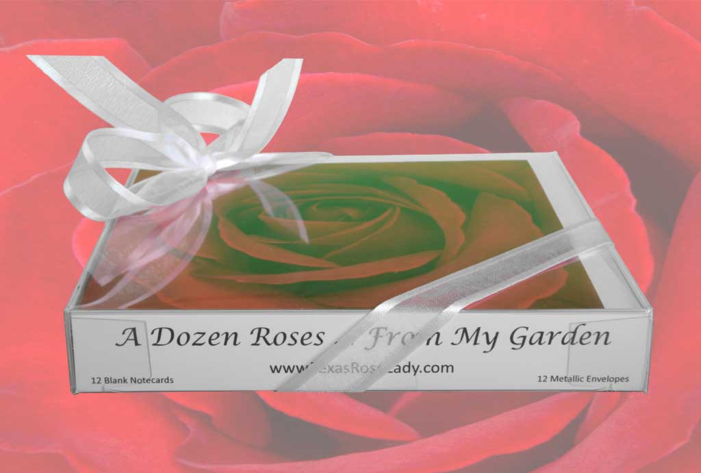 A Dozen Roses From My Garden Note Cards – Texas Rose Lady